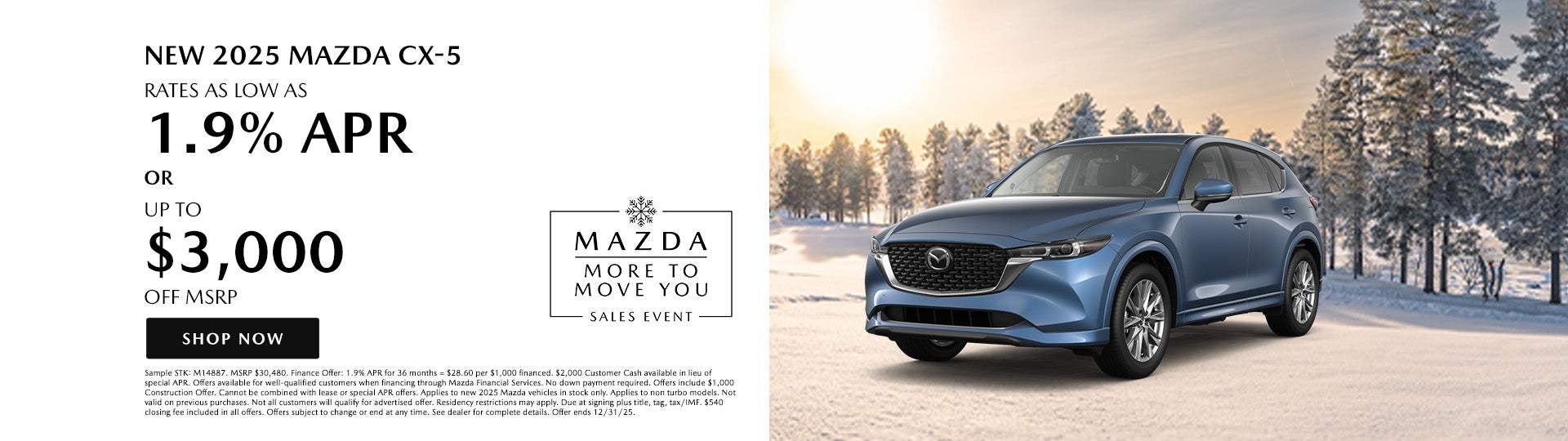 Mazda Dealer in Myrtle Beach | Beach Mazda
